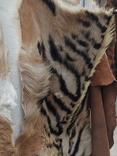 Moroccan Tanning: A Tradition That Transforms Hides Into Art