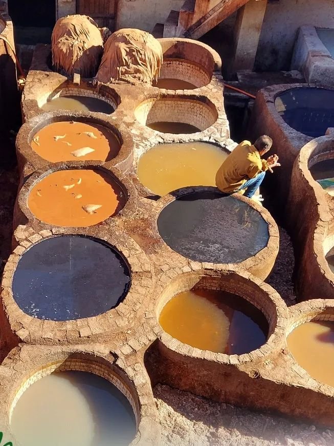 Moroccan Tanning: A Tradition That Transforms Hides Into Art